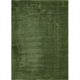 Teppich ANDIAMO "Arezzo", dunkelgr&uuml;n, B:160cm H:16mm L:230cm, Polyester, Teppiche, Teppich, Uni Farben, weicher Flor, waschbar, ideal im Wohnzimmer & Schlafzimmer
