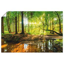 Wandbild Artland "Wald mit Bach", gr&uuml;n (farbe bild(er): gr&uuml;n), B:60cm H:40cm, Bilder, als Alubild, Leinwandbild, Poster in verschied. Gr&ouml;&szlig;en