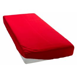 Spannbettlaken my home "PAPRIKA", rot, B:160cm L:200cm, Microfaser-Jersey, Obermaterial: 100% Polyester, Bettlaken, Spannbettlaken, Bettlaken, Laken, in zwei Qualit&auml;ten: Fleece & Jersey, pflegeleicht