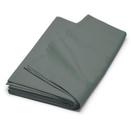 Betttuch Cinderella "Cinderella Flanell-Laken", gr&uuml;n, B:200cm L:260cm, Satin, Obermaterial: 100% Baumwolle, Bettlaken, f&uuml;r Matratzen bis 25 cm H&ouml;he