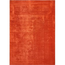 Teppich ANDIAMO "Arezzo", terra, B:80cm H:16mm L:150cm, Polyester, Teppiche, Teppich, Uni Farben, weicher Flor, waschbar, ideal im Wohnzimmer & Schlafzimmer