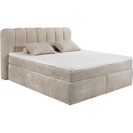 Boxspringbett, B:225cm L:240cmtaupe, ED EXCITING DESIGN, 100% Polyester, Komplettbetten, "Gibsons in der Gr&ouml;&szlig;e 200x220cm, &Uuml;berl&auml;nge", erh&auml;ltlich in