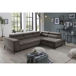 Ecksofa exxpo - SOFA FASHION "Bocco, hochwertige Verarbeitung, toller Sitzkomfort, bequem, L-Form", grau (stone), B:276cm H:75cm T:203cm, 100% PES, Sofas, Ecksofa, wahlweise mit Bettfunktion u. Bettkasten, inkl. Kopfteilverstellung