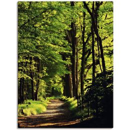 Wandbild Artland "Weg im Wald", gr&uuml;n (farbe bild(er): gr&uuml;n), B:90cm H:120cm, Bilder, als Leinwandbild, Poster in verschied. Gr&ouml;&szlig;en