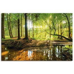 Wandbild Artland "Wald mit Bach", gr&uuml;n (farbe bild(er): gr&uuml;n), B:90cm H:60cm, Bilder, als Alubild, Leinwandbild, Poster in verschied. Gr&ouml;&szlig;en