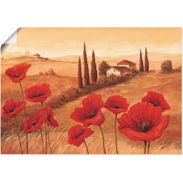 Wandbild Artland "Mohnblumen in der Toskana", braun (farbe bild(er): braun), B:70cm H:50cm, Papier, Bilder, als Leinwandbild, Poster in verschied. Gr&ouml;&szlig;en
