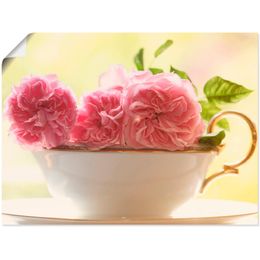 Wandbild Artland "Vintage Rosen", pink (farbe bild(er): pink), B:40cm H:30cm, Papier, Bilder, als Leinwandbild, Poster in verschied. Gr&ouml;&szlig;en