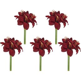 Kunstblume Creativ green "Amaryllis", rubin, H:31cm, Polyester, Kunstpflanzen, mit &uuml;ppiger Bl&uuml;tenpracht