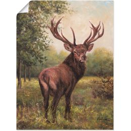Wandbild Artland "Hirsch", gr&uuml;n (farbe bild(er): gr&uuml;n), B:30cm H:40cm T:0,1cm, Papier, Bilder, als Leinwandbild, Poster in verschied. Gr&ouml;&szlig;en