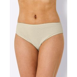 Slip, Damen, Gr. 44, 3 Stk., steingrau, sand, bordeaux, 100% Baumwolle, Unterhosen Slip