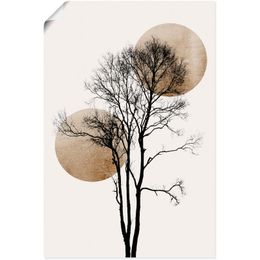 Artland Wandbild &raquo;Sonne und Mond versteckt&laquo; Baumbilder 1 Stk. tlg. als Alubild, Leinwandbild, Poster in verschied. Gr&ouml;&szlig;en Farbe Bild(er): grau
