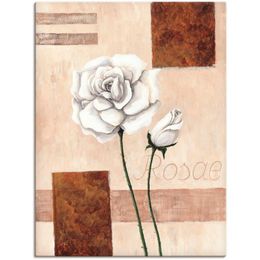 Artland Leinwandbild &raquo;Rosae - Rosen&laquo; Blumenbilder 1 Stk. tlg. auf Holzrahmen gespannt beige Leinwand