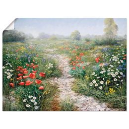 Artland Wandbild &raquo;Dichte der Natur&laquo; Blumenwiese 1 Stk. tlg. als Leinwandbild, Poster in verschied. Gr&ouml;&szlig;en gr&uuml;n Papier