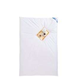 Ribeco Federbettdecke &raquo;Leon, Ballonbettdecke Leon, 135x200 & 155x220 cm&laquo; extrawarm F&uuml;llung 50% Daunen, 50%Federn 1 Stk. tlg. unser Ballonbett, wie...