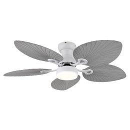 Globo LIGHTING Deckenleuchte »ELISE« LED-Modul 1 Stk. warmweiß - kaltweiß Ventilator kühlen-heizen grau matt CCT 3000/4500/6000K weiß matt