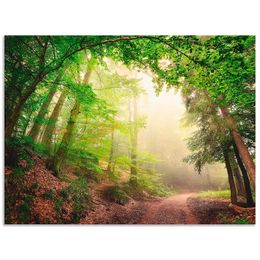Artland Wandbild &raquo;Nat&uuml;rliche Torb&ouml;gen durch B&auml;ume&laquo; Wald 1 Stk. tlg. als Alubild, Poster in verschied. Gr&ouml;&szlig;en Farbe Bild(er): gr&uuml;n