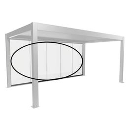 BioHort Glasschiebet&uuml;r &raquo;Klarglas Gr. 5, 5 m f&uuml;r Pergola, verschiedene Farben&laquo; 512, 5x 234, 9 cm, Glaselemente aus 10 mm ESG quarzgrau-metallic