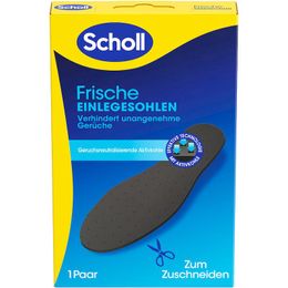 Scholl Einlegesohlen &raquo;frische Einlegesohlen&laquo; Packung, extra d&uuml;nn, 1 Paar Schwarz