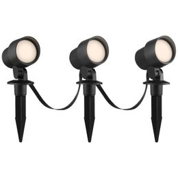 Brilliant LED Gartenleuchte &raquo;Kamara&laquo; LED-Modul 3 Stk. RGB warmwei&szlig; - kaltwei&szlig; LED Gartenspie&szlig; Set, dimmbar, RGB, CCT, IP44, schwarz, App...