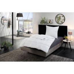 Ribeco Kunstfaserbettdecke &raquo;Isabel&laquo; normal 1 Stk. tlg. Luxus Daunenfeeling mit nat&uuml;rlichem Milbenschutz! wei&szlig; Bezug: 100% Polyester. F&uuml;llung: 100%...