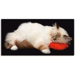 Artland Wandbild &raquo;M&uuml;de Katze&laquo; Haustiere 1 Stk. tlg. auf Holzrahmen gespannt Farbe Bild(er): schwarz