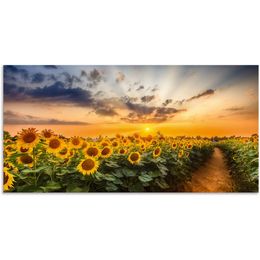 Artland Wandbild &raquo;Sonnenblumenfeld bei Sonnenuntergang&laquo; Blumenbilder 1 Stk. tlg. als Alubild, Leinwandbild, Poster in verschied. Gr&ouml;&szlig;en Farbe...