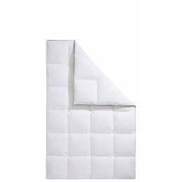 fj&ouml;dur FJ&Ouml;DUR Daunenbettdecke &raquo;Fee, Bettdecke 135x200, 155x220 cm und weitere Gr&ouml;&szlig;en&laquo; extrawarm F&uuml;llung 80Daunen20Federn 1 Stk. tlg. Hergestellt in...