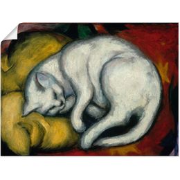 Artland Wandbild &raquo;Die weisse Katze. 1912&laquo; Haustiere 1 Stk. tlg. als Leinwandbild, Poster in verschied. Gr&ouml;&szlig;en Farbe Bild(er): wei&szlig;