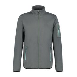 Icepeak Funktionsjacke &raquo;H MIDLAYER JACKE BREDSTEDT&laquo; 1 Stk. tlg. f&uuml;r vielseitige Outdoor-Aktivit&auml;ten, aus Polyester, mit Stehkragen DARK OLIVE L L...