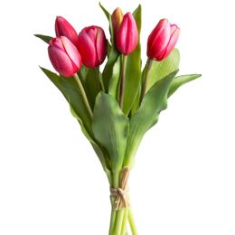 Kunstblume BOTANIC-HAUS "Willa", bunt (beauty), B:16cm H:32cm T:16cm, Kunststoff, Kunstpflanzen, Tulpenb&uuml;ndel im 7er-Set