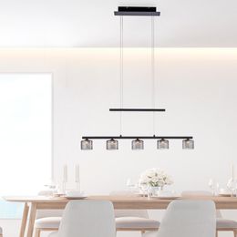 Pendelleuchte Paul Neuhaus "HYDRA", schwarz, Leuchten, Damen, 5, 1 Stk., Pendelleuchte, LED, B:7cm L:80cm