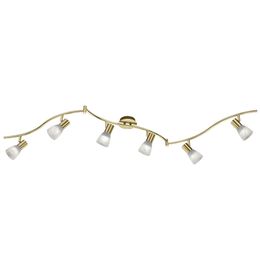 Trio LEUCHTEN LED Deckenstrahler "Levisto", grau (messingfarben), 6, Leuchten, LED Deckenleuchte, LED Deckenlampe, LED Deckenstrahler