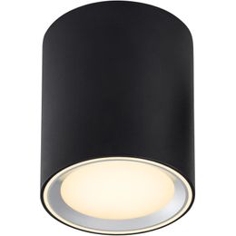 Nordlux LED Deckenspot "Fallon", Energieeffizienz: F (A-G), grau (schwarz, edelstahlfarben), 1, &Oslash; 10cm H: 12cm, Leuchten, LED Deckenleuchte, LED Deckenlampe, LED Deckenspot