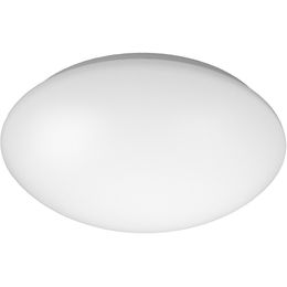 Niermann Deckenleuchte, wei&szlig;, 1, &Oslash; 36cm H: 9,5cm, 1 Stk., Leuchten, Deckenschale Kunststoff, opal wei&szlig;, Kinderlampe