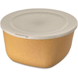 Frischhaltedose Koziol "CONNECT BOX 4", beige (nature wood), B:25cm H:13cm, Lebensmittelaufbewahrungsbeh&auml;lter, Frischhaltedose, sp&uuml;lmaschinengeeignet,melaminfrei,recycelbar 4L