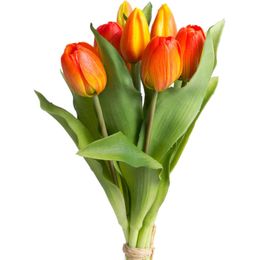 Kunstblume BOTANIC-HAUS "Willa", orange (orange, gelb), B:16cm H:32cm T:16cm, Kunststoff, Kunstpflanzen, Tulpenb&uuml;ndel im 7er-Set