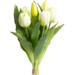 Kunstblume BOTANIC-HAUS "Willa", beige (creme, wei&szlig;), B:16cm H:32cm T:16cm, Kunststoff, Kunstpflanzen, Tulpenb&uuml;ndel im 7er-Set