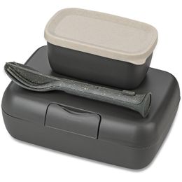 Frischhaltedose Koziol "CANDY READY", grau (nature ash grau), B:14cm H:7cm, Lebensmittelaufbewahrungsbeh&auml;lter, Frischhaltedose, sp&uuml;lmaschinengeeignet,melaminfrei,recycelbar