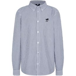 POLO SYLT Button Up Shirt boy Blue size 158/164