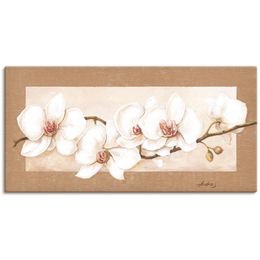 Wandbild Artland, B:150cm H:75cm, beige, Wohnzimmer, Bilder, "Orchideenzweig", als Alubild, Leinwandbild in verschied. Gr&ouml;&szlig;en