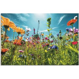Wandbild Artland, B:90cm H:60cm, bunt, Wohnzimmer, Bilder, "Buntes Blumenfeld", als Alubild, Leinwandbild, Poster in verschied. Gr&ouml;&szlig;en