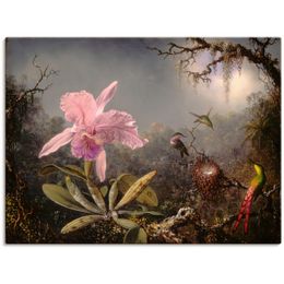Wandbild Artland, B:80cm H:60cm T:1,8cm, beige, Leinwand, Wohnzimmer, Bilder, "Cattleya Orchidee und drei Kolibris.", auf Holzrahmen gespannt