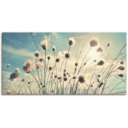 Wandbild Artland, B:40cm H:20cm, blau, Wohnzimmer, Bilder, "Wollgras", als Alubild, Leinwandbild in verschied. Gr&ouml;&szlig;en