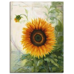 Leinwandbild Artland, B:60cm H:80cm, gelb, Leinwand, Wohnzimmer, Bilder, "Sonnenblume", auf Holzrahmen gespannt