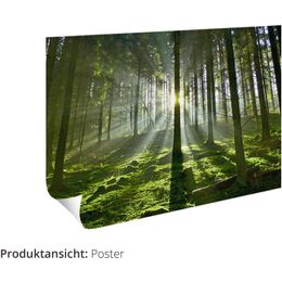Wandbild Artland, B:40cm H:30cm, bunt, Wohnzimmer, Bilder, "Kr&auml;uter Gew&uuml;rze Schiefer", als Alubild, Leinwandbild, Poster, Wandaufkleber in verschied.