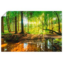 Wandbild Artland, B:60cm H:40cm, gr&uuml;n, Wohnzimmer, Bilder, "Wald mit Bach", als Alubild, Leinwandbild, Poster in verschied. Gr&ouml;&szlig;en