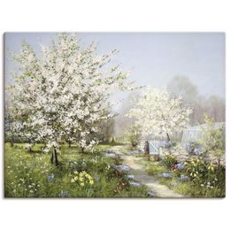 Wandbild Artland, B:80cm H:60cm, gr&uuml;n, Leinwand, Wohnzimmer, Bilder, "Fr&uuml;hlingsbl&uuml;ten", als Leinwandbild, Poster in verschied. Gr&ouml;&szlig;en