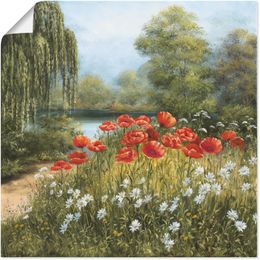 Wandbild Artland, B:50cm H:50cm, gr&uuml;n, Wohnzimmer, Bilder, "Mohnwiese am See", als Alubild, Leinwandbild, Poster in verschied. Gr&ouml;&szlig;en