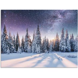 Wandbild Artland, B:120cm H:90cm, blau, Wohnzimmer, Bilder, "Tannenwald im Schnee vorm Sternenhimmel", als Alubild, Leinwandbild, Poster in