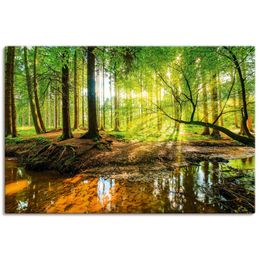 Wandbild Artland, B:30cm H:20cm, gr&uuml;n, Wohnzimmer, Bilder, "Wald mit Bach", als Alubild, Leinwandbild, Poster in verschied. Gr&ouml;&szlig;en